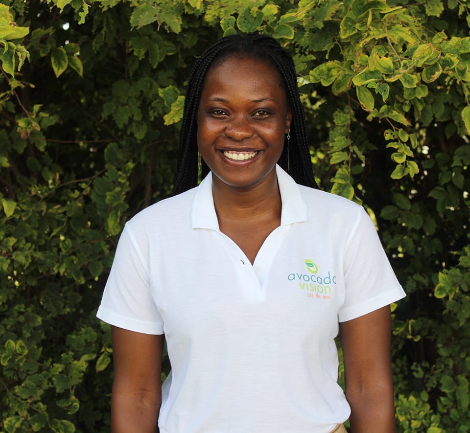 Contact Avo: Let's Connect & Make Your Vision a Reality