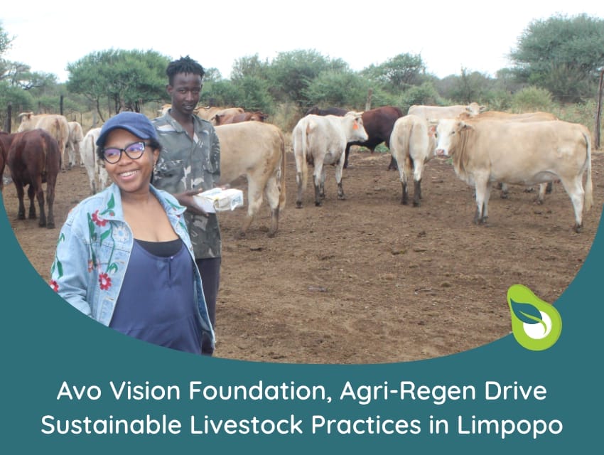 Avo Vision Foundation, Agri-Regen Drive Sustainable Livestock Practices