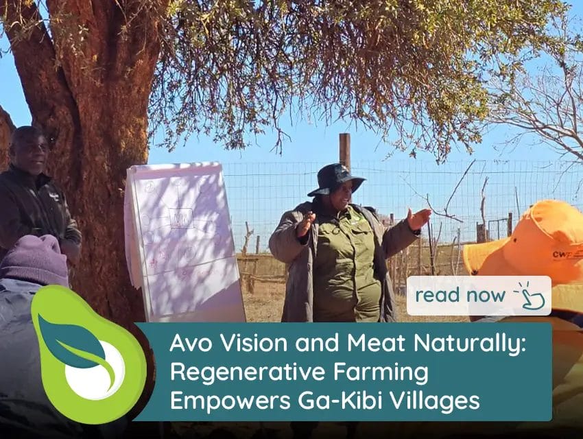 Regenerative Farming Empowers Ga-Kibi Villages